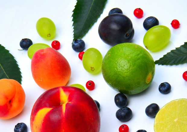 Giornata della biodiversità, scomparsi 3 frutti su 4 - il Giornale di ...